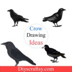 17 Crow Drawing Ideas - How To Draw Crow - DIYsCraftsy