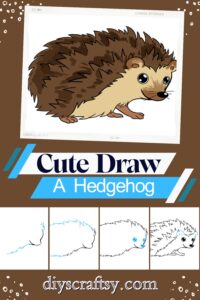 14 Hedgehog Drawing Ideas - How To Draw Hedgehog - DIYsCraftsy