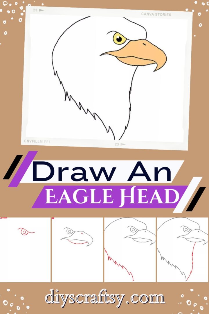 15 Eagle Drawing Ideas - How To Draw Eagle - DIYsCraftsy