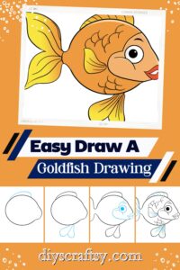 15 Goldfish Drawing Ideas - How To Draw Goldfish - DIYsCraftsy
