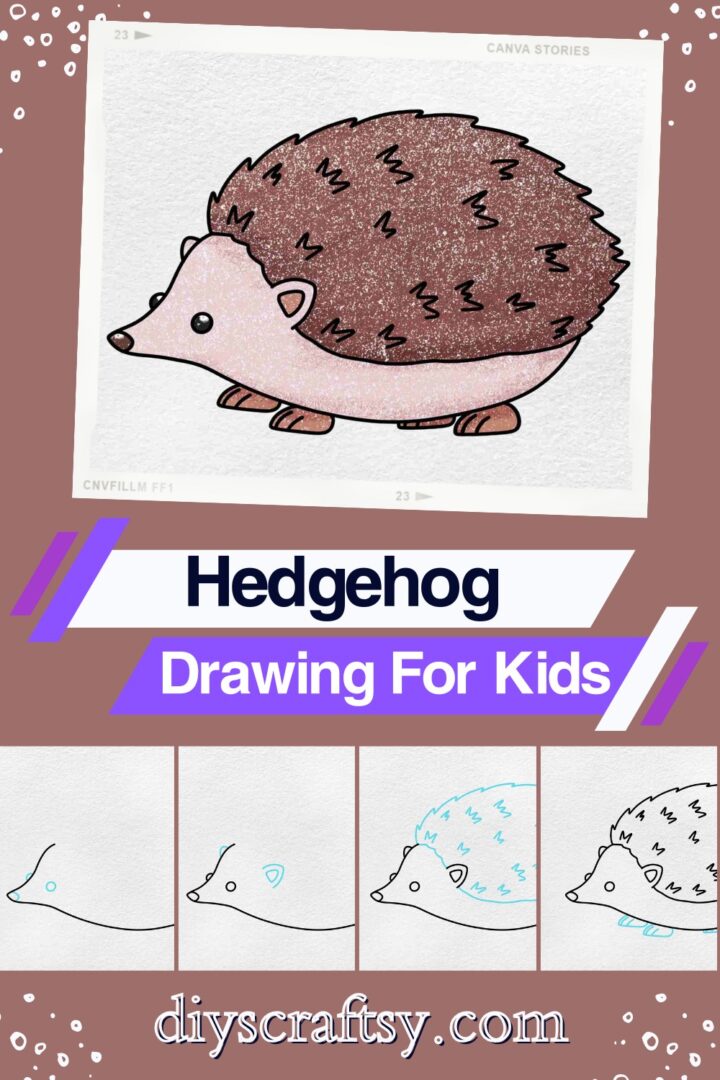 14 Hedgehog Drawing Ideas - How To Draw Hedgehog - DIYsCraftsy