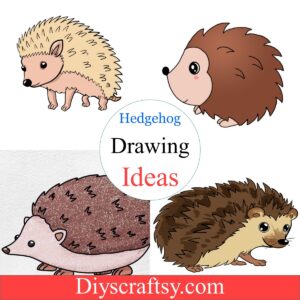 14 Hedgehog Drawing Ideas - How To Draw Hedgehog - DIYsCraftsy