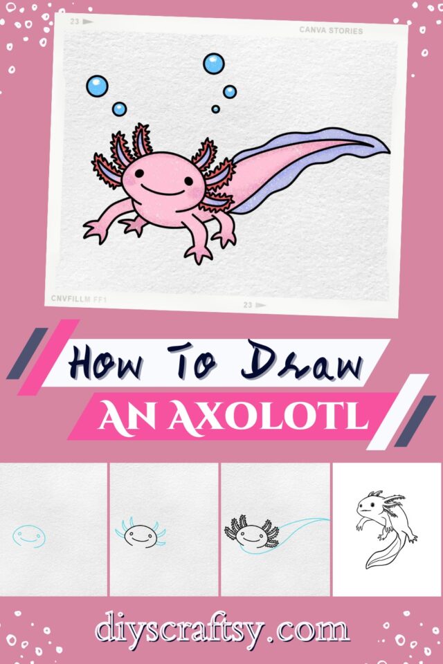 12 Axolotl Drawing Ideas - Step By Step Guide - DIYsCraftsy