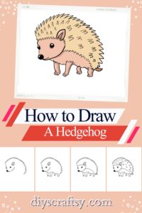 14 Hedgehog Drawing Ideas - How To Draw Hedgehog - DIYsCraftsy