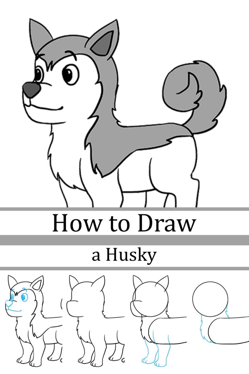 18 Husky Drawing Ideas For Dog Lovers - DIYsCraftsy
