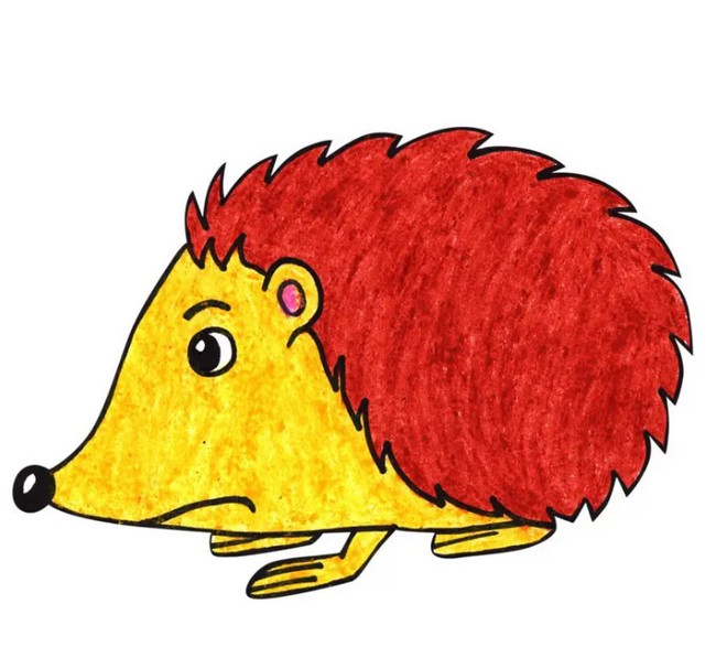 14 Hedgehog Drawing Ideas - How To Draw Hedgehog - DIYsCraftsy