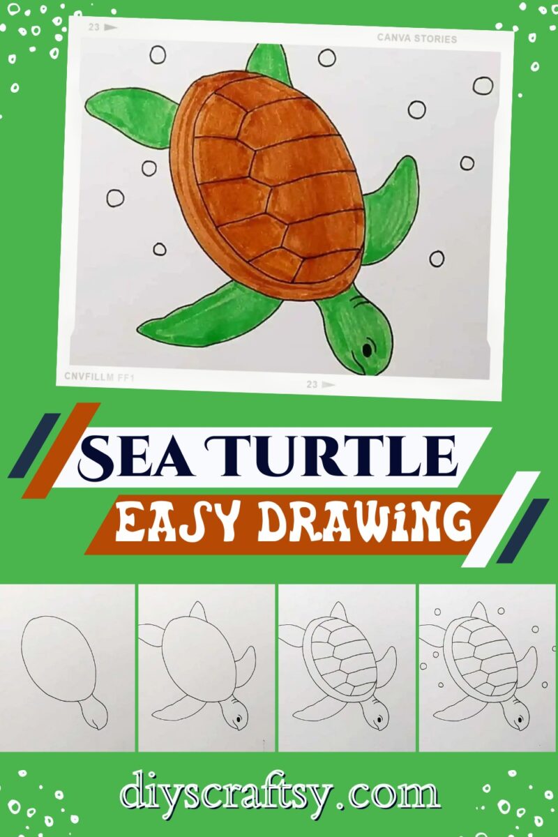 18 Turtle Drawing Ideas - How To Draw Turtle - DIYsCraftsy