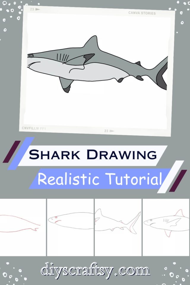 16 Shark Drawing Ideas - How To Draw Shark - DIYsCraftsy