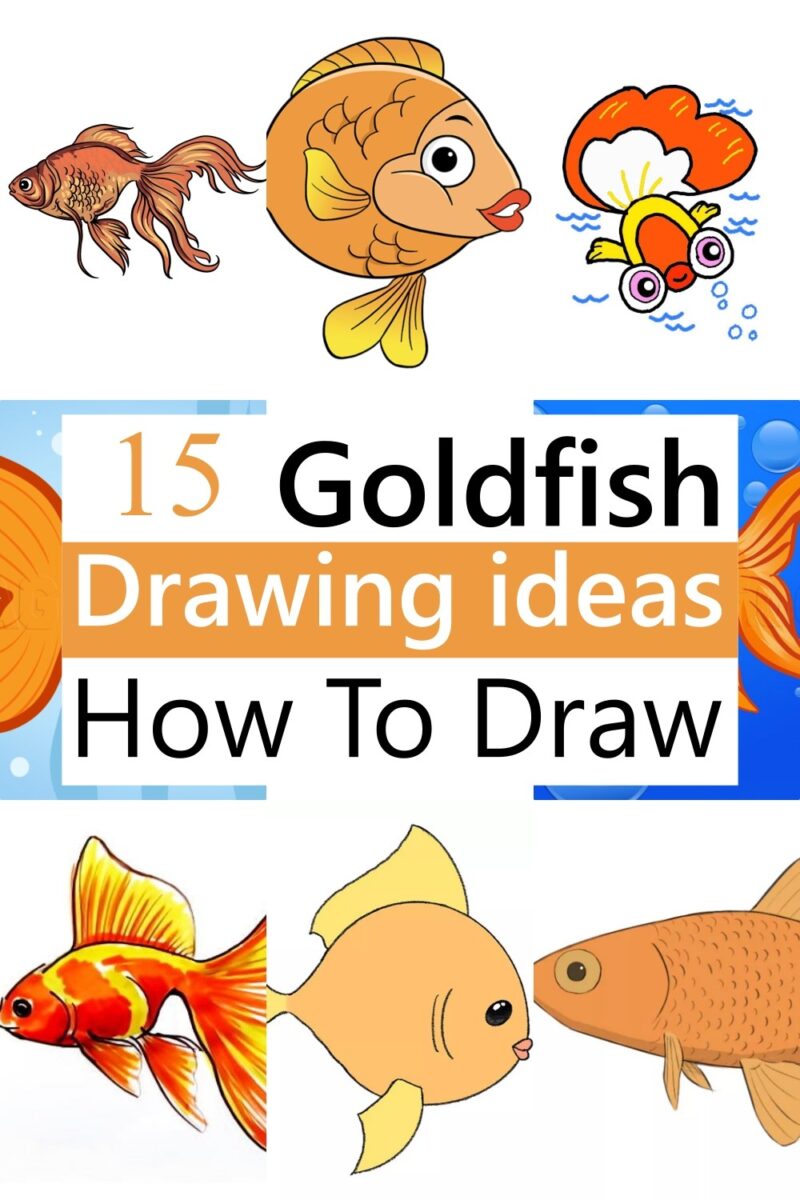 15 Goldfish Drawing Ideas - How To Draw Goldfish - DIYsCraftsy