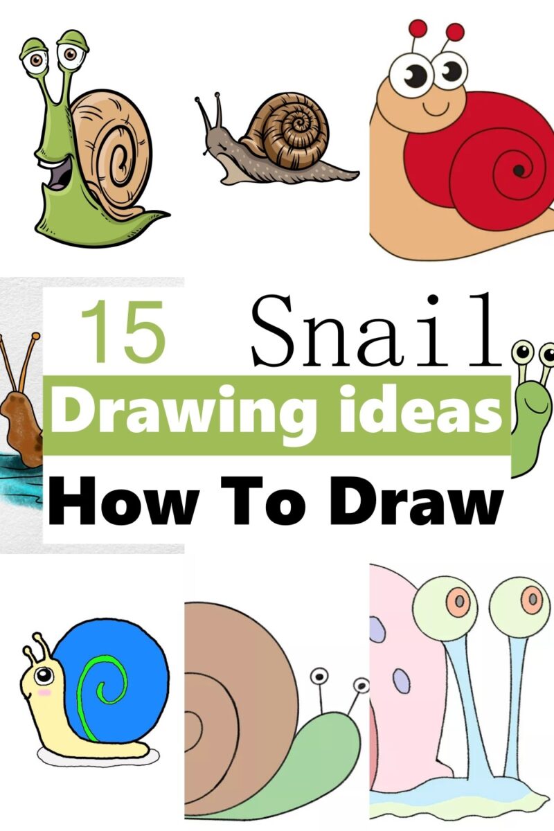 15 Snail Drawing Ideas - How To Draw Snail - DIYsCraftsy