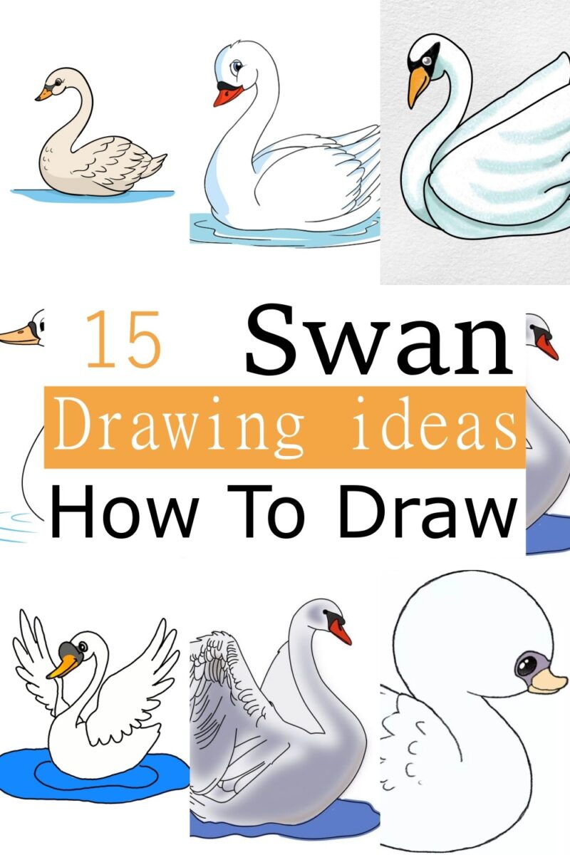 15 Swan Drawing Ideas - How To Draw Swan - DIYsCraftsy