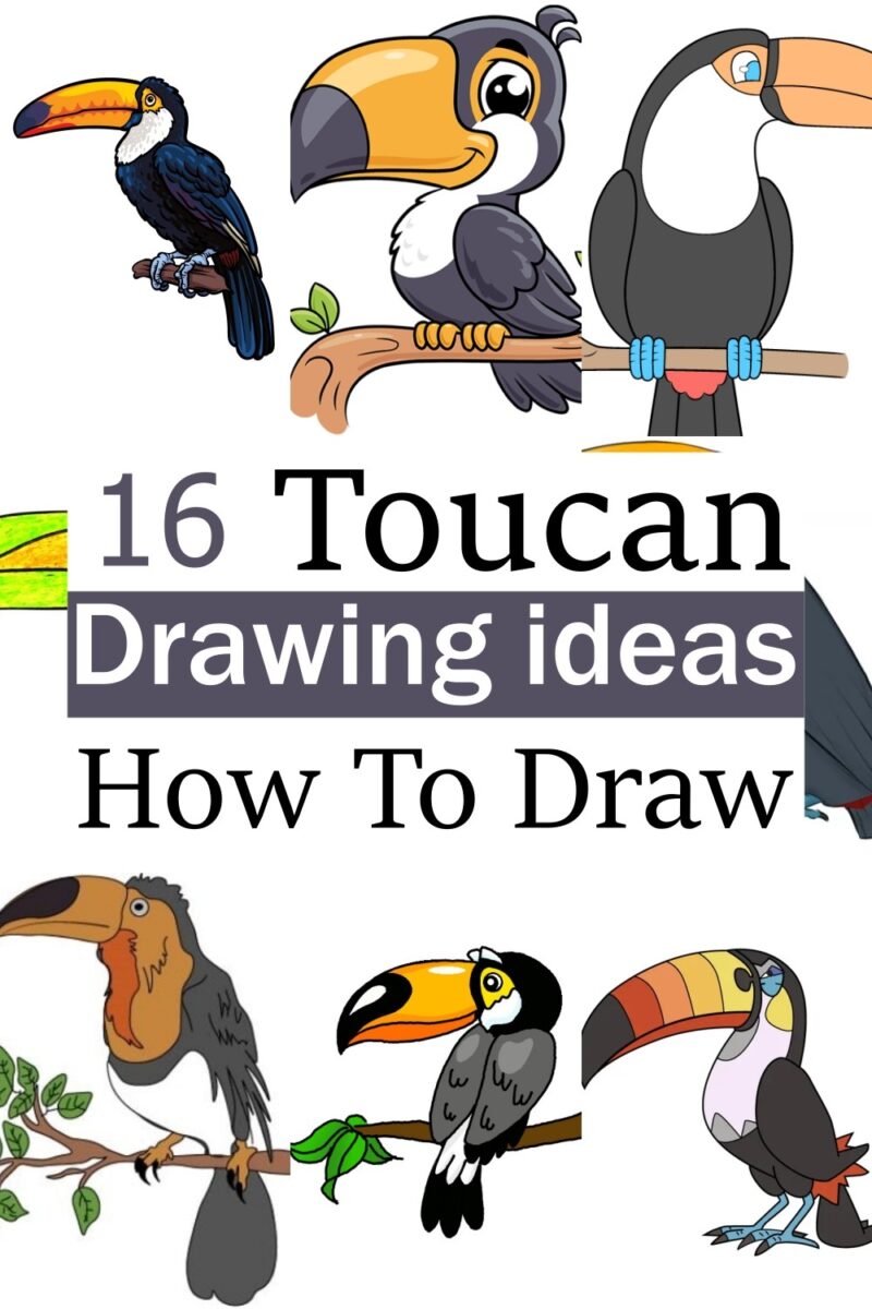 15 Toucan Drawing Ideas - How To Draw Toucan - DIYsCraftsy