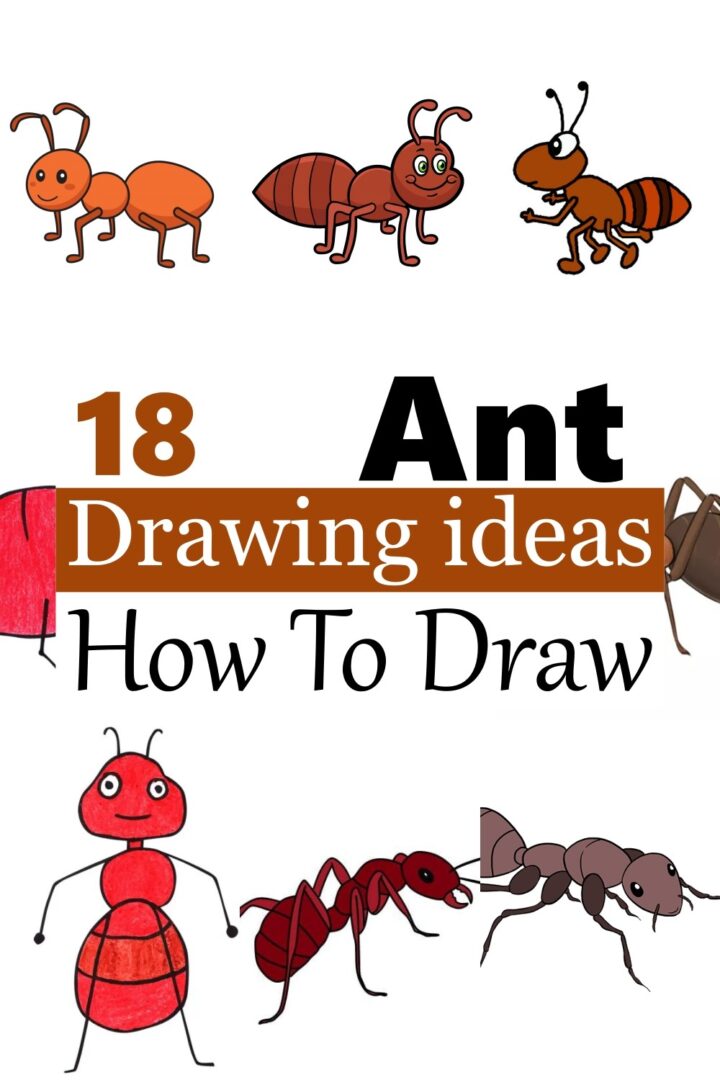 18 Ant Drawing Ideas For Kids - DIYsCraftsy