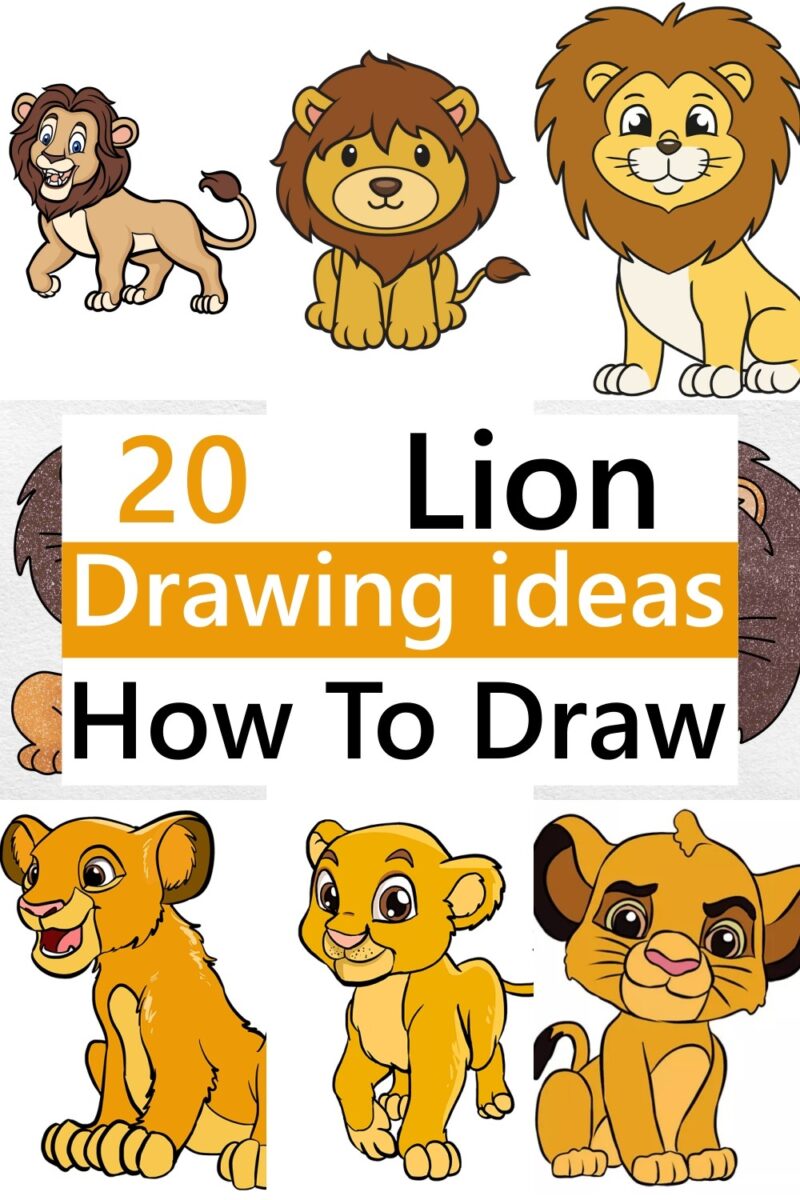 20 Lion Drawing Ideas - How To Draw Lion - DIYsCraftsy