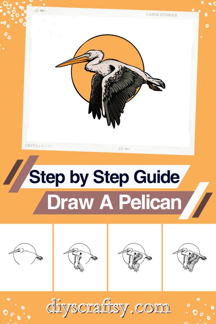15 Pelican Drawing Ideas - How To Draw Pelican - DIYsCraftsy