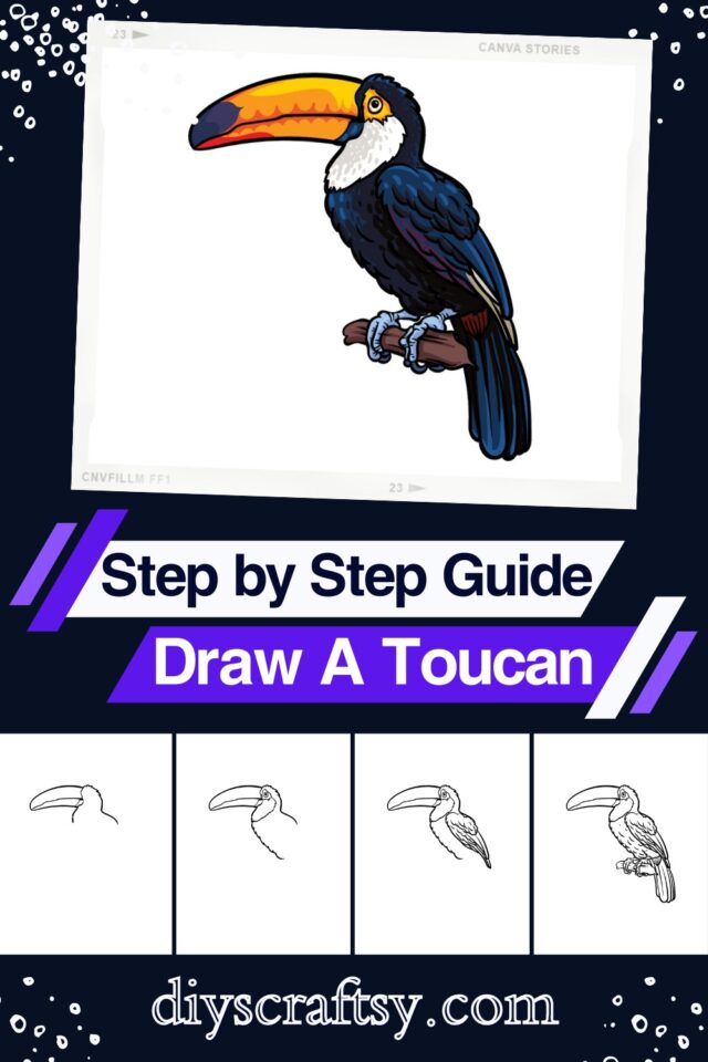 16 Toucan Drawing Ideas - How To Draw Toucan - DIYsCraftsy