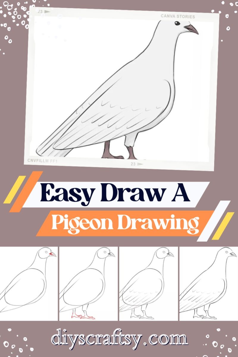 15 Pigeon Drawing Ideas - How To Draw Pigeon - DIYsCraftsy