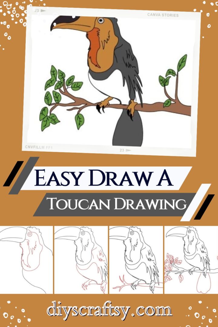 16 Toucan Drawing Ideas - How To Draw Toucan - DIYsCraftsy