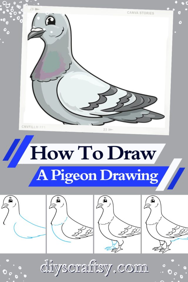 15 Pigeon Drawing Ideas - How To Draw Pigeon - DIYsCraftsy