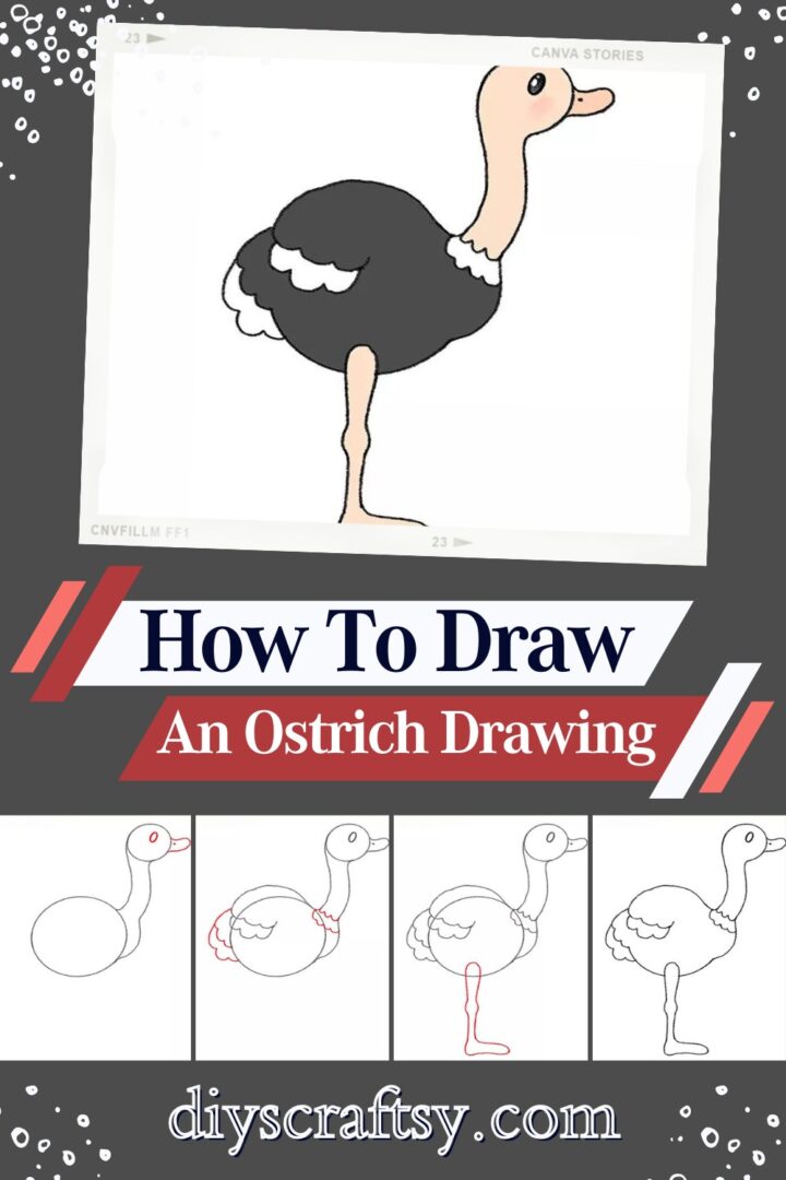 12 Ostrich Drawing Ideas - How To Draw Ostrich - DIYsCraftsy