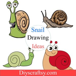 15 Snail Drawing Ideas - How To Draw Snail - DIYsCraftsy