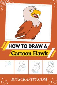 16 Best Hawk Drawing Ideas- How To Draw the Hawk