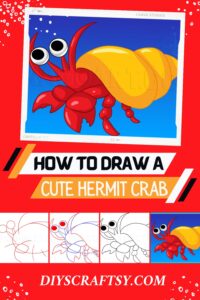 13 Hermit Crab Drawing Ideas - How To Draw Crab - DIYsCraftsy