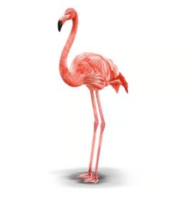 21 Flamingo Drawing Ideas For Summer Activity - DIYsCraftsy