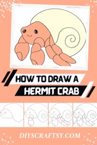13 Hermit Crab Drawing Ideas - How To Draw Crab - DIYsCraftsy