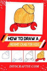 13 Hermit Crab Drawing Ideas - How To Draw Crab - DIYsCraftsy