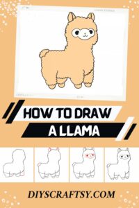 16 Alpaca Drawing Ideas For Kids And Adults - DIYsCraftsy
