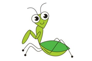 13 Mantis Drawing Ideas- How To Draw A Mantis