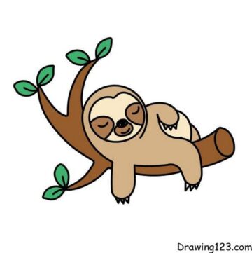 20 Sloth Drawing Ideas For Wildlife Lovers - DIYsCraftsy