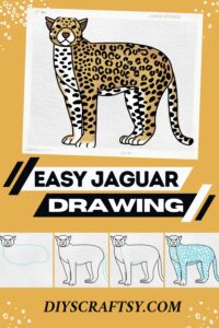 16 Jaguar Drawing Ideas For Wild Artist - DIYsCraftsy
