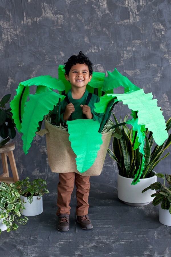 12 Unique DIY Plant Costume Ideas For Halloween - DIYsCraftsy